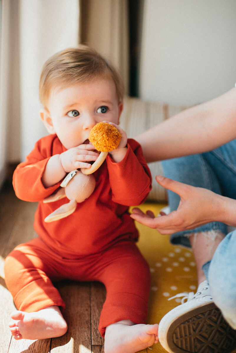 Création du site web de Pop'Kidz, les vêtements évolutifs pour bébé
